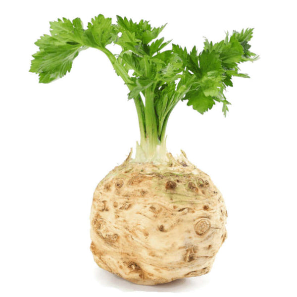 Céleri-Rave Giant Prague Ancestral – Joual Vert