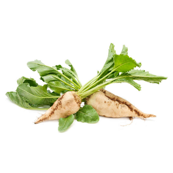 Betterave à Sucre Ancestrale – Joual Vert