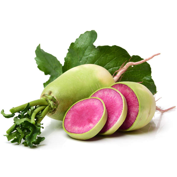 Radis Melon d'Eau Écologique – Joual Vert